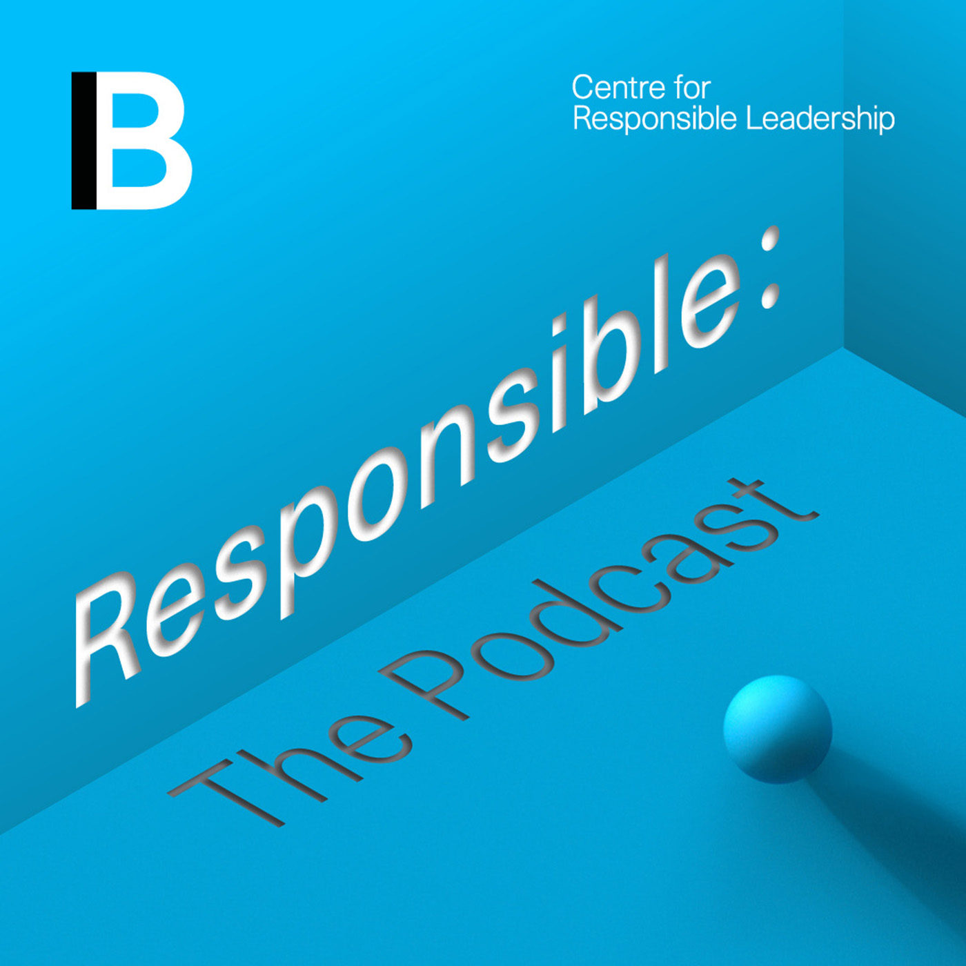 Responsible – Episode 9: Naveed Sultan on How to Build a Career, and ...
